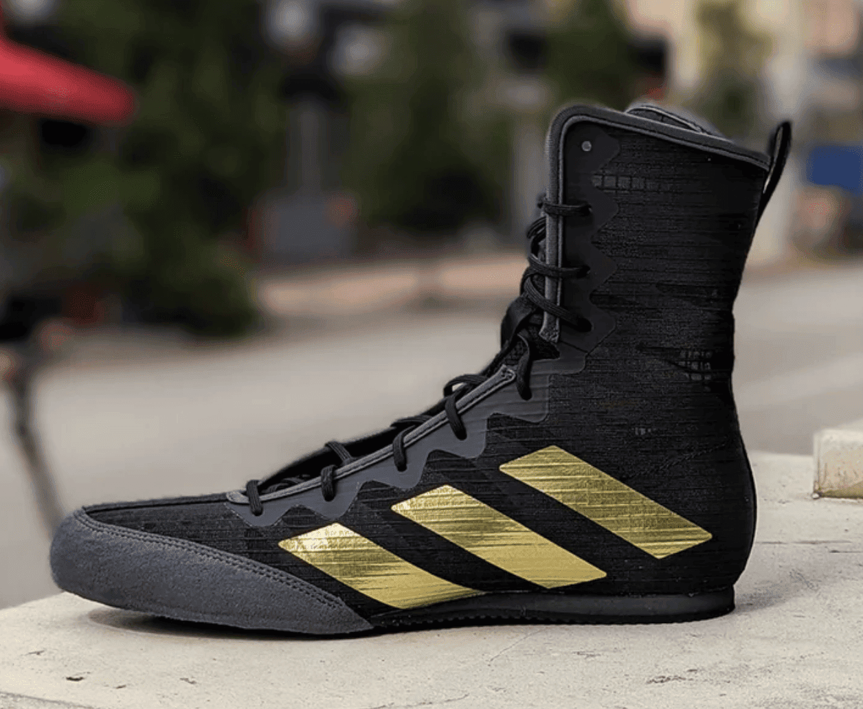 5+ Best Boxing Shoes: Knockout Choices (2024)