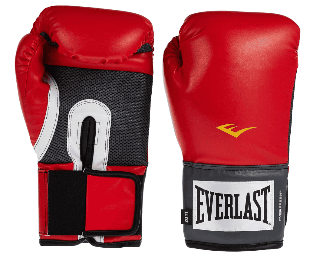 Everlast Pro Style Training Gloves Review (2024)